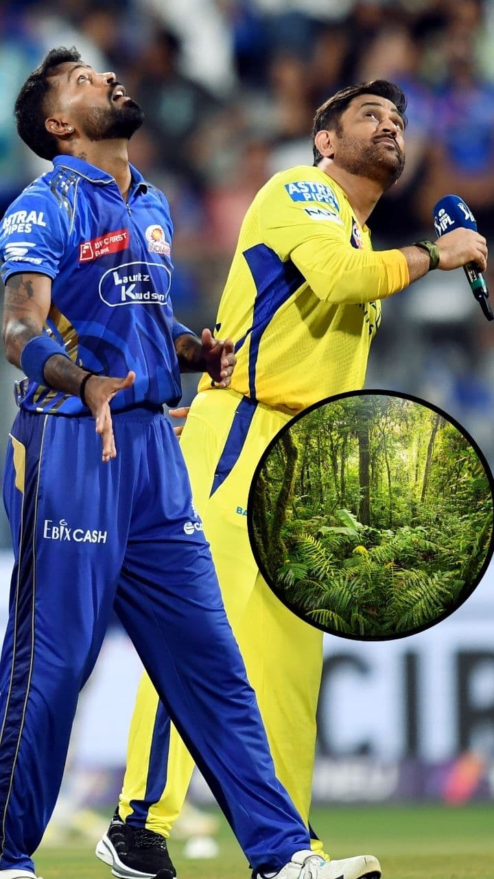 Most Dot Balls in IPL: IPL போட்டிக்கு இடையே மரம் நடும் பிளேயர்கள்! CSK ...