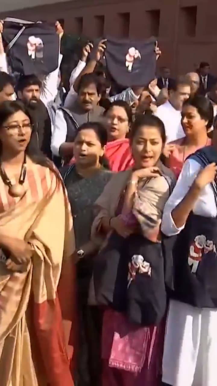 मोदी-अडाणी कार्टून बैग लेकर संसद में विपक्ष का अनोखा प्रदर्शन ...
