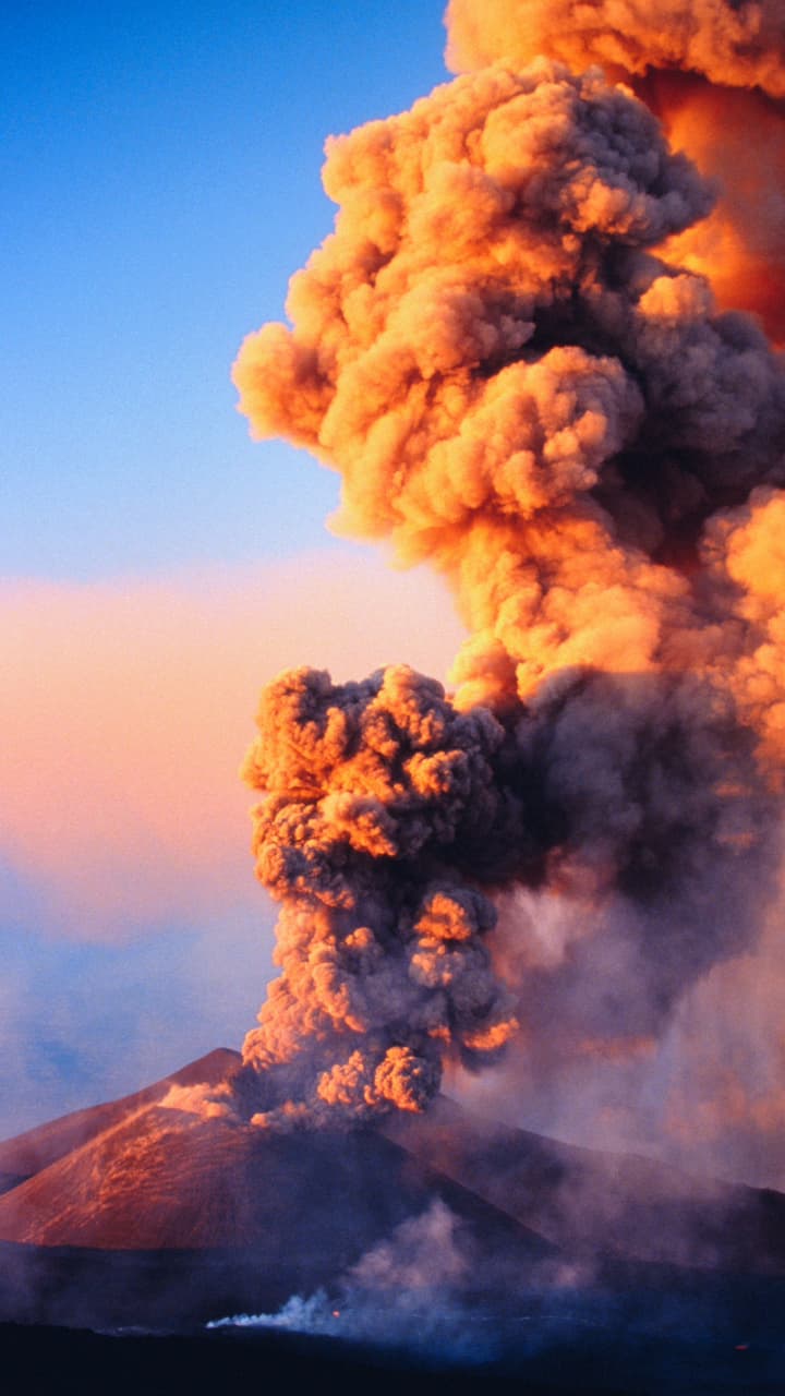 Xxx me vende she had on a snug small black dress and she