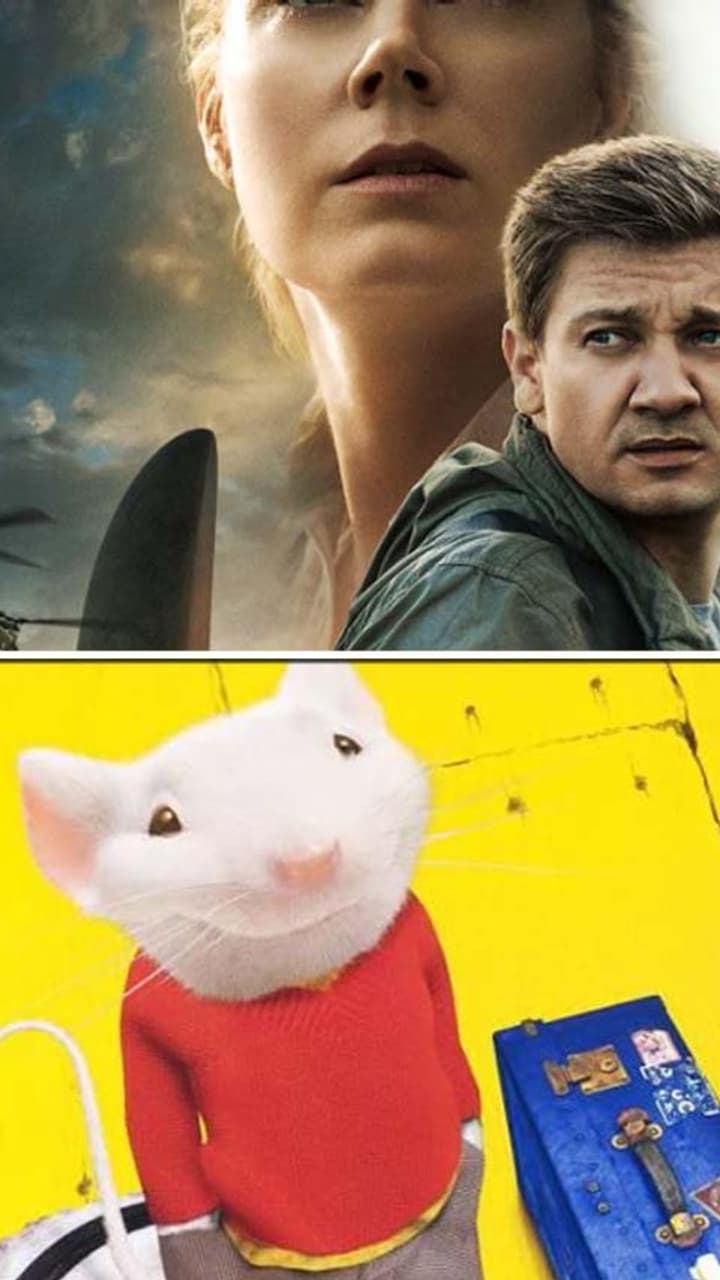 Stuart Little to Arrival: 7 movies leaving Netflix in November ...