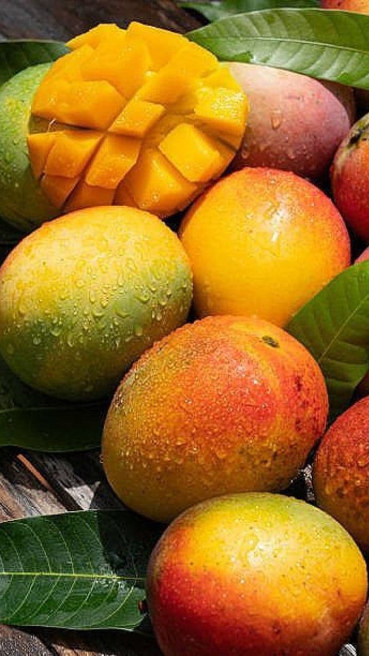 History of Mango Names: लंगड़ा कैसे हो गया आम का नाम, सुनकर आई हंसी ...